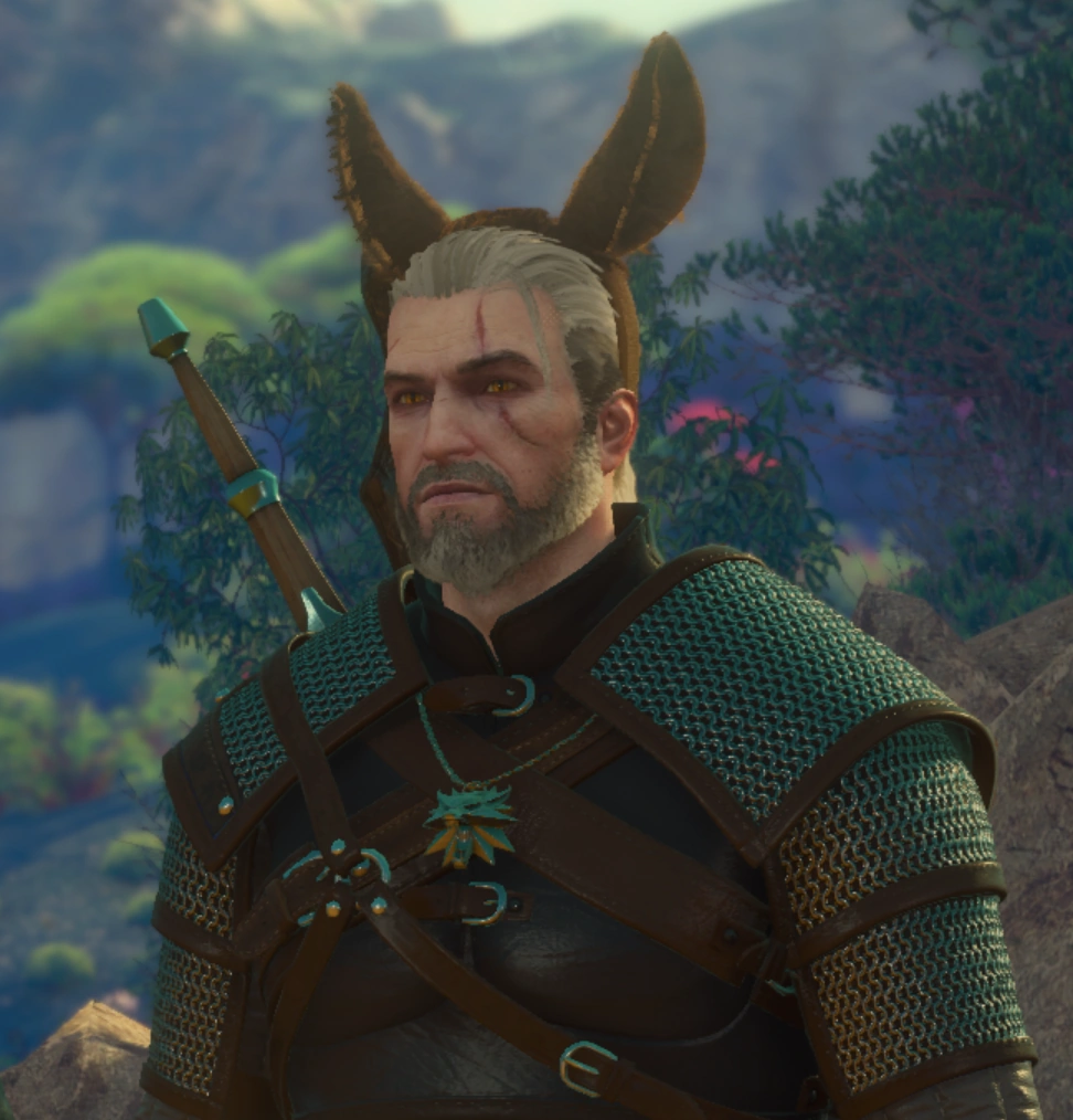 Ass ears | Witcher Wiki | Fandom