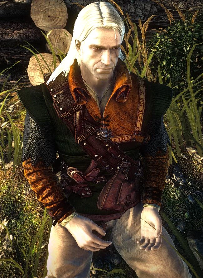 Heavy elven armor | Witcher Wiki | Fandom