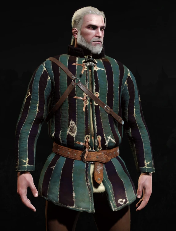 Cidarian gambeson | Witcher Wiki | Fandom
