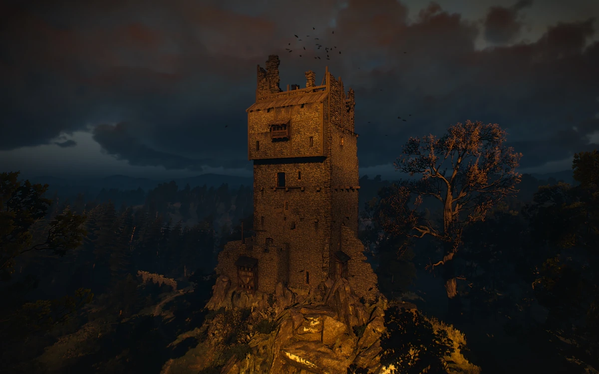 Abandoned Tower | Witcher Wiki | Fandom