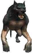 Werewolf | Witcher Wiki | Fandom