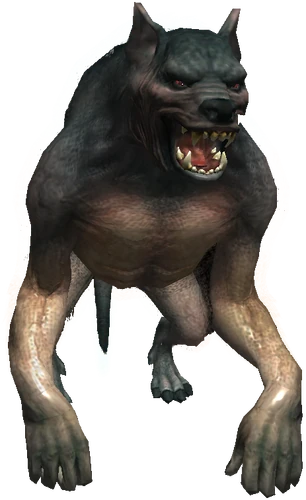 Beauty and the Beast | Witcher Wiki | Fandom