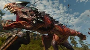 Wyvern | Witcher Wiki | Fandom