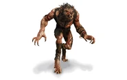 Werewolf | Witcher Wiki | Fandom