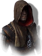 Kingslayers | Witcher Wiki | Fandom