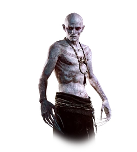 The Unseen Elder | Witcher Wiki | Fandom
