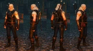 Legendary Feline armor | Witcher Wiki | Fandom