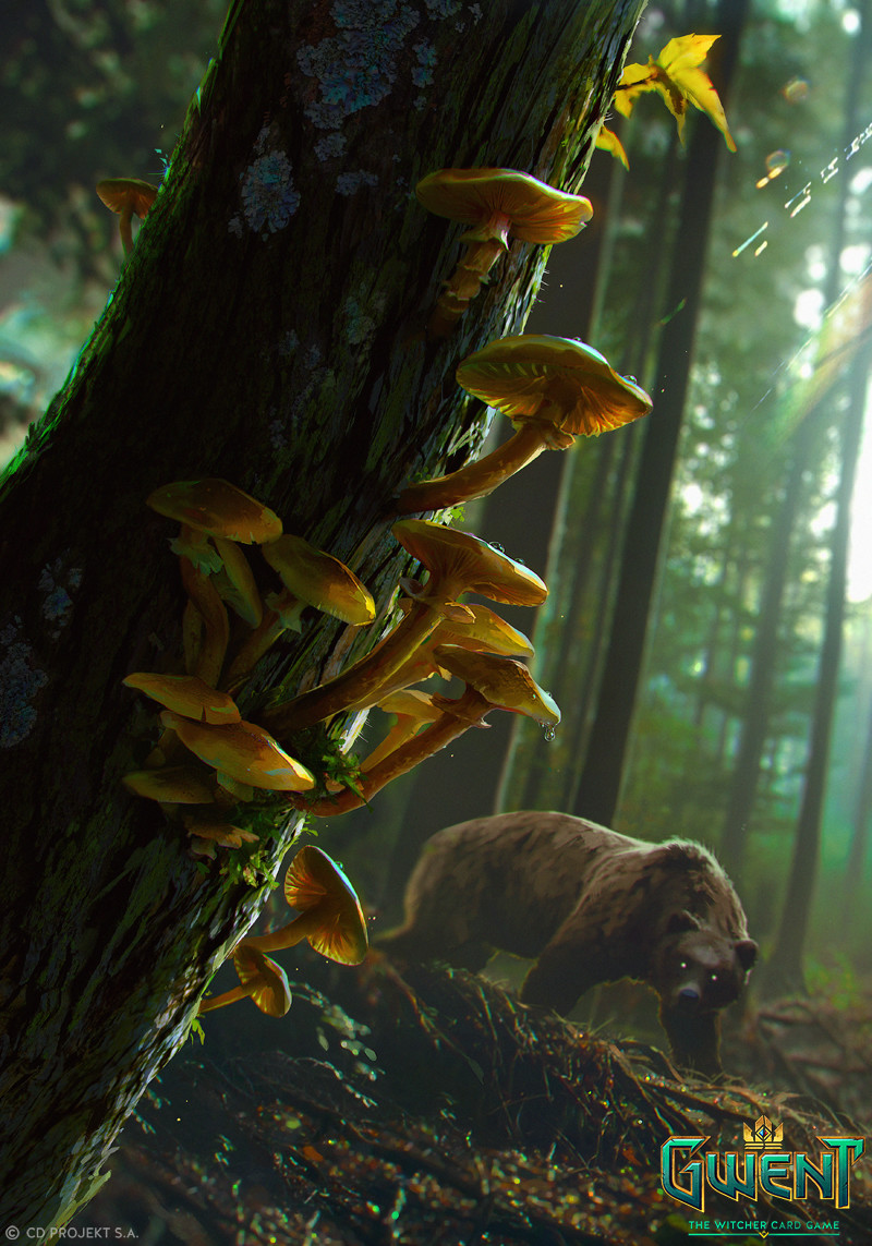 Mardroeme Bear Thronebreaker Card Witcher Wiki Fandom