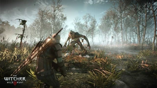 The Official Witcher Wiki