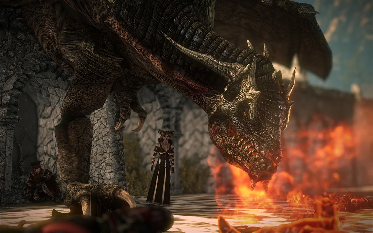 Enter the Dragon - The Official Witcher Wiki