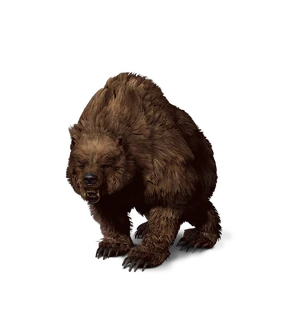 Bear - The Official Witcher Wiki