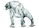 Werewolf - The Official Witcher Wiki