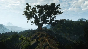 Gedyneith - The Official Witcher Wiki