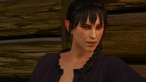 Vienne - The Official Witcher Wiki