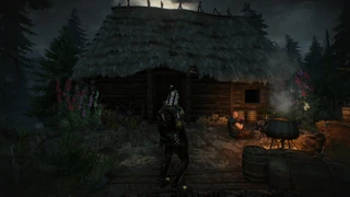 The Nithing - The Official Witcher Wiki