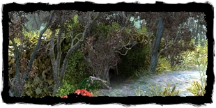 Swamp cave - The Official Witcher Wiki