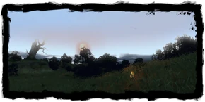 Druids' grove - The Official Witcher Wiki
