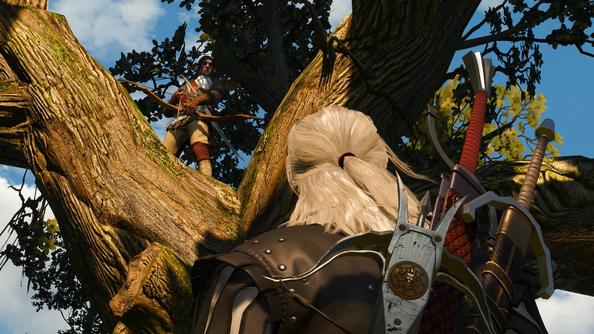 Contract: Woodland Beast - The Official Witcher Wiki