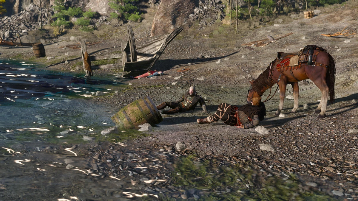 Skellige - The Official Witcher Wiki