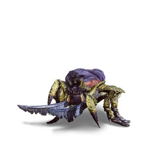 Venomous arachas - The Official Witcher Wiki