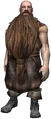 Dwarf - The Official Witcher Wiki