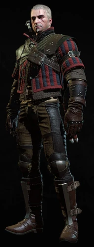 Armor - The Official Witcher Wiki