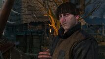 Fistfighting in The Witcher 3 - The Official Witcher Wiki