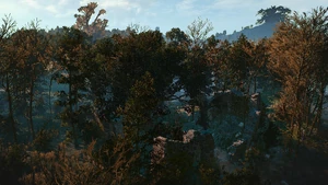 Ruined Tower - The Official Witcher Wiki