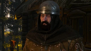 Armed Assault - The Official Witcher Wiki