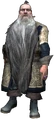 Dwarf - The Official Witcher Wiki
