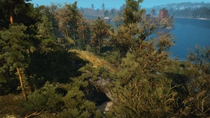 Grotto (Velen) - The Official Witcher Wiki