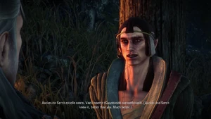 Elven prisoner - The Official Witcher Wiki