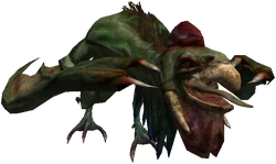 Cockatrice - The Official Witcher Wiki