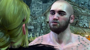 Valgard - The Official Witcher Wiki