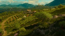 Belgaard Vineyard - The Official Witcher Wiki