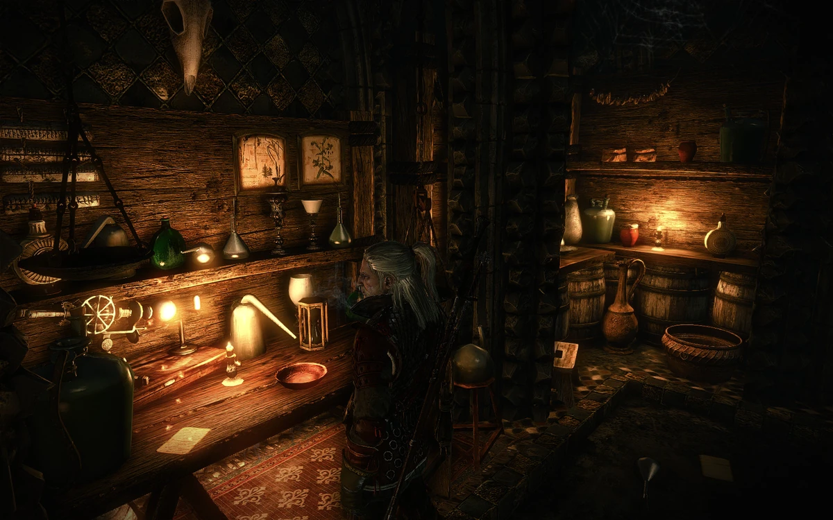 Dearhenna's Journal - The Official Witcher Wiki