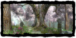 Druid - The Official Witcher Wiki