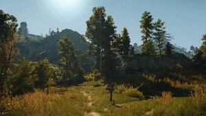 Crossroads (Velen) - The Official Witcher Wiki