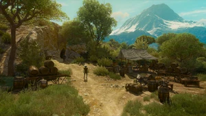 Gray Grotto - The Official Witcher Wiki