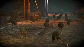 Rat - The Official Witcher Wiki