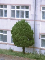 Ditto/Gallery | NewJeans Wiki | Fandom