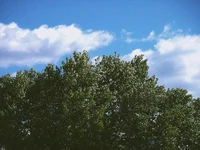 Ditto/Gallery | NewJeans Wiki | Fandom