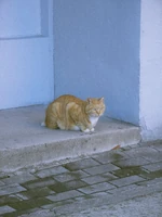 Ditto/Gallery | NewJeans Wiki | Fandom