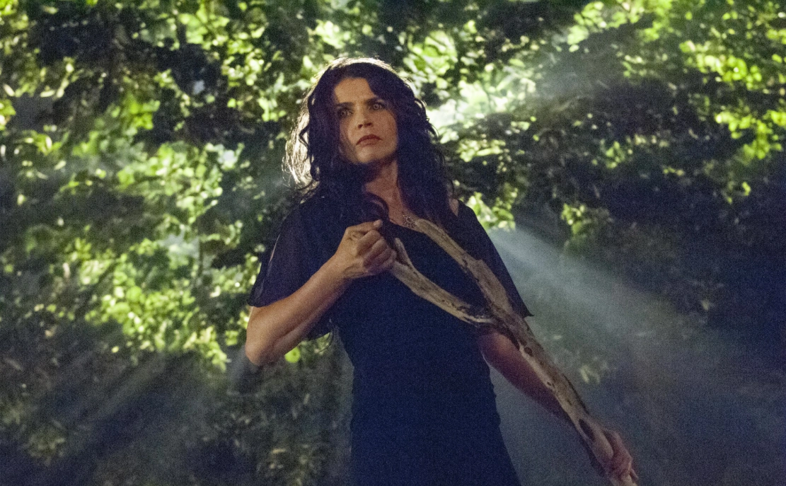 The Shapeshifter | Witches of East End Wiki | Fandom