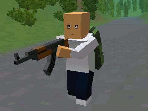 Player | WithstandZ Wiki | Fandom