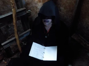 The Seer | Wizard Party Wiki | Fandom