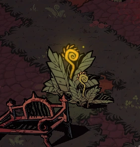 Fiddlehead Fern | Wizard with a Gun Wiki | Fandom