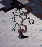 Kolbara Bark | Wizard with a Gun Wiki | Fandom