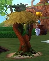 Semi: Pianta di Avocado | Wizard101 Italiano Wiki | Fandom