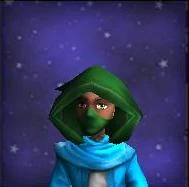 Category:Level 30+ Life School Hats | Wizard 101 Wiki | Fandom